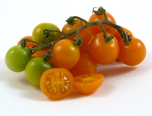 Sungold Select II – Heritage Seed Market