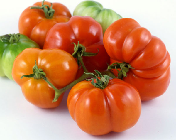 Criolla Quetzaltepeque – Heritage Seed Market