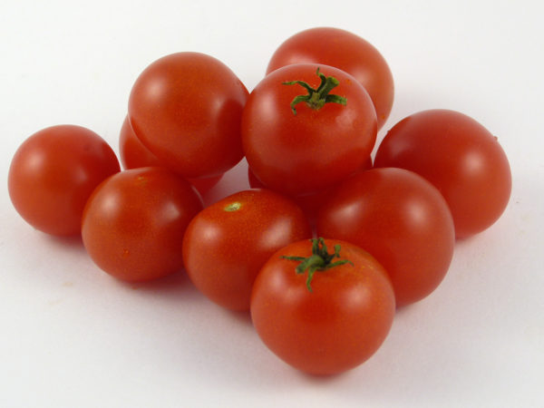 Vilma – Heritage Seed Market