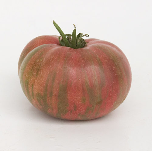 Adelaide Festival – Heritage Seed Market