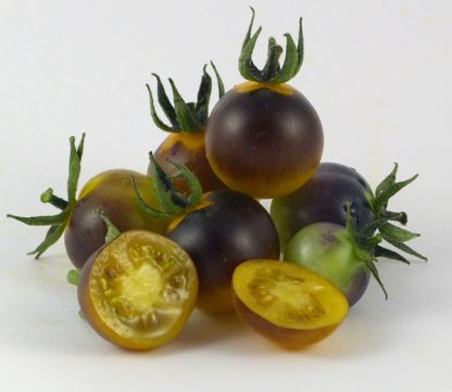 Blue Goldberry – Heritage Seed Market