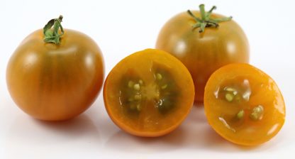 Dark Orange Muscat – Heritage Seed Market