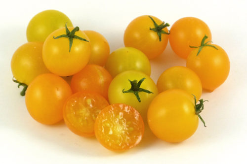 Jochalos – Heritage Seed Market