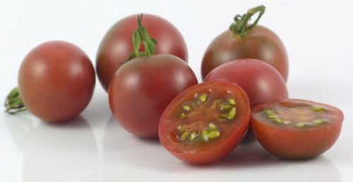 Rosella – Heritage Seed Market