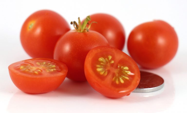 Little Red Riding Hood (Krasnaya Shapochka) – Heritage Seed Market