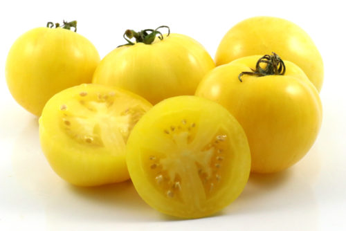 Sweet Splash Electra – Heritage Seed Market