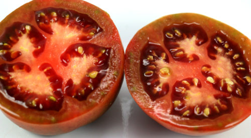 Sweet Sister Ellie – Heritage Seed Market